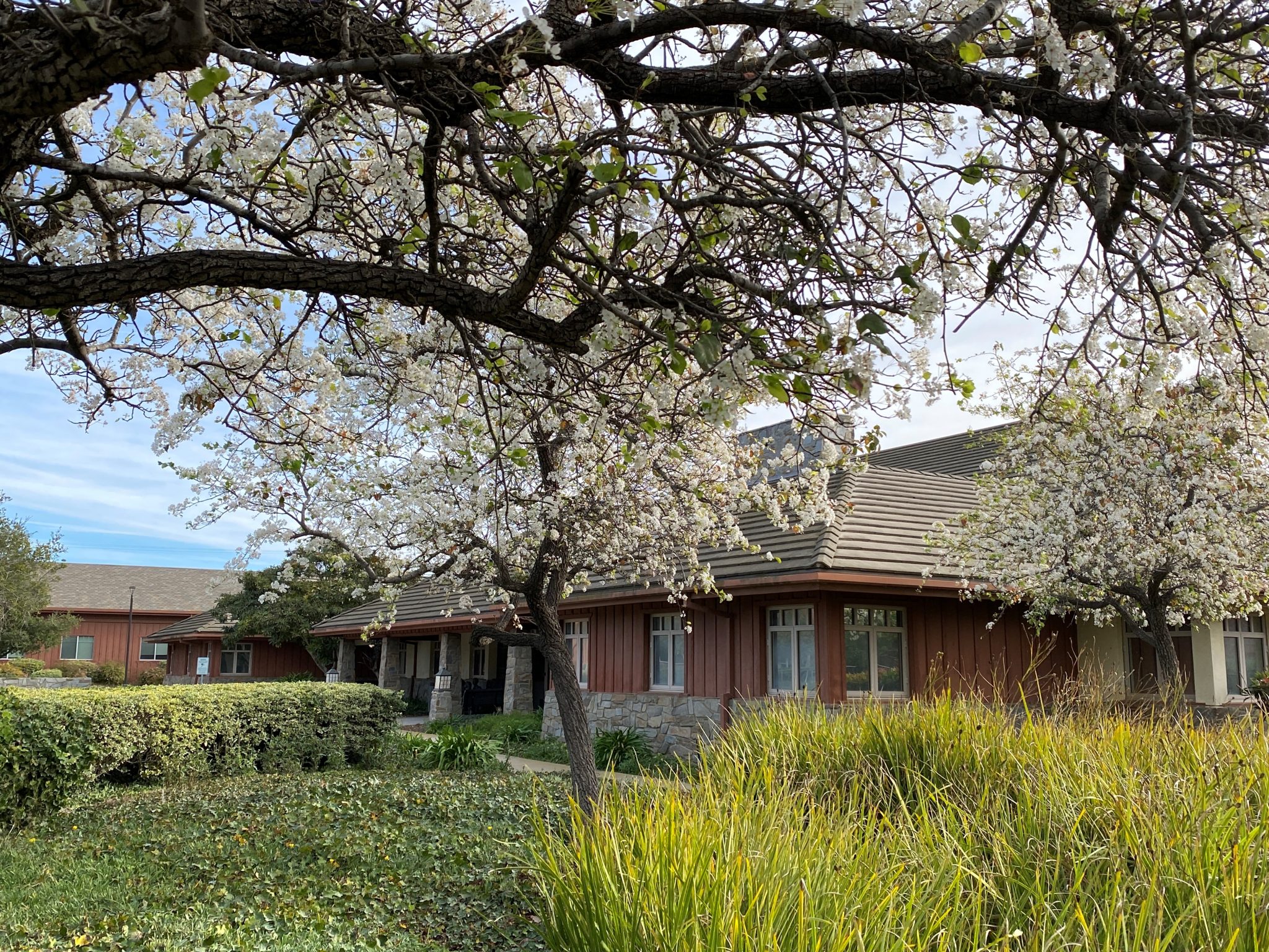 SAFTY Program Shines on KEYT News - Casa Pacifica