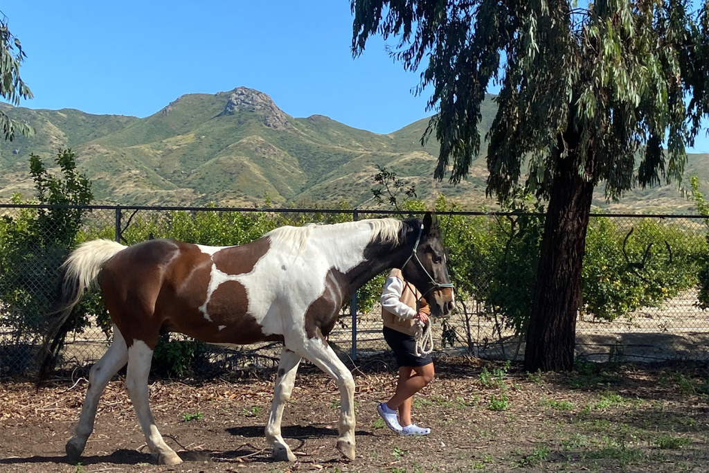 The Power of Play with Purpose: Kylie's Story - Casa Pacifica